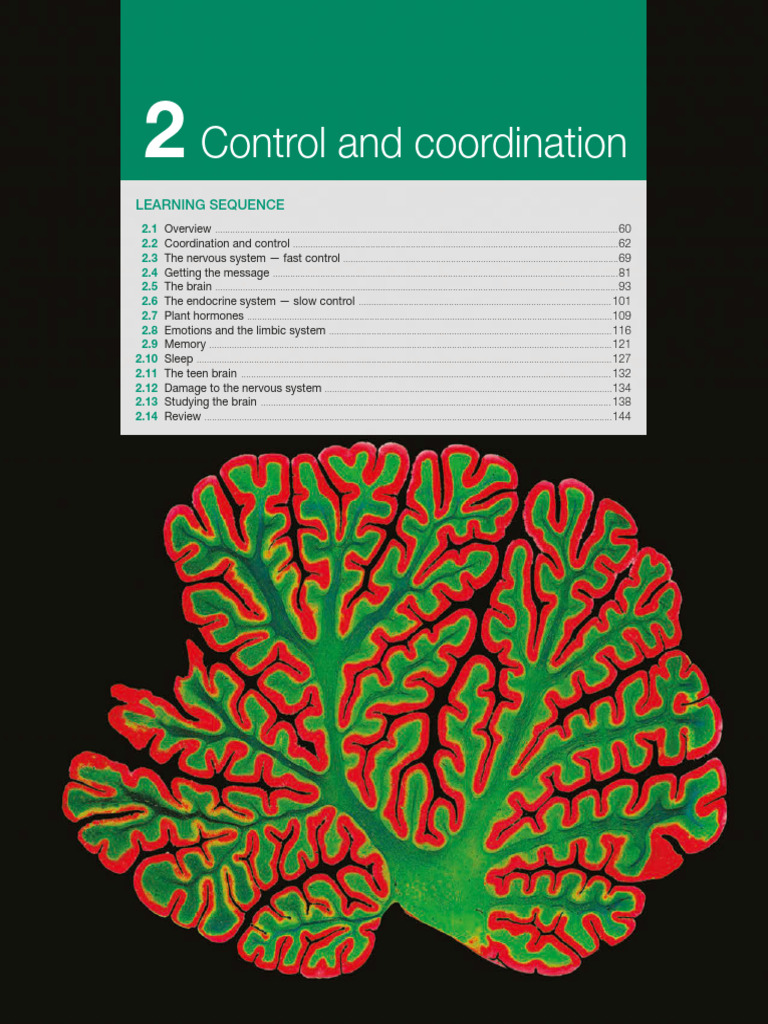 Control and Co-Ordination Quest | Download Free PDF | Neuron | Nervous ...