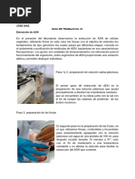 Extracción de ADN de Una Fresa | PDF | Adn | Biología Celular)