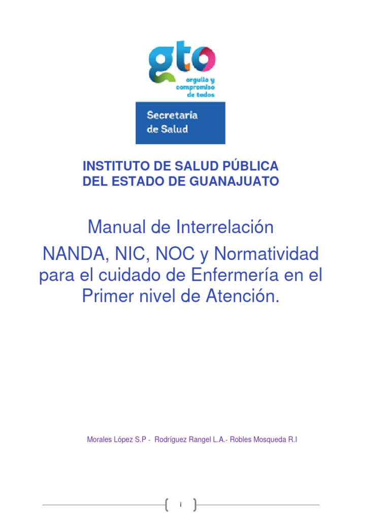 Manual Nic Noc Nanda 1er Nivel | Descargar gratis PDF | Enfermería ...