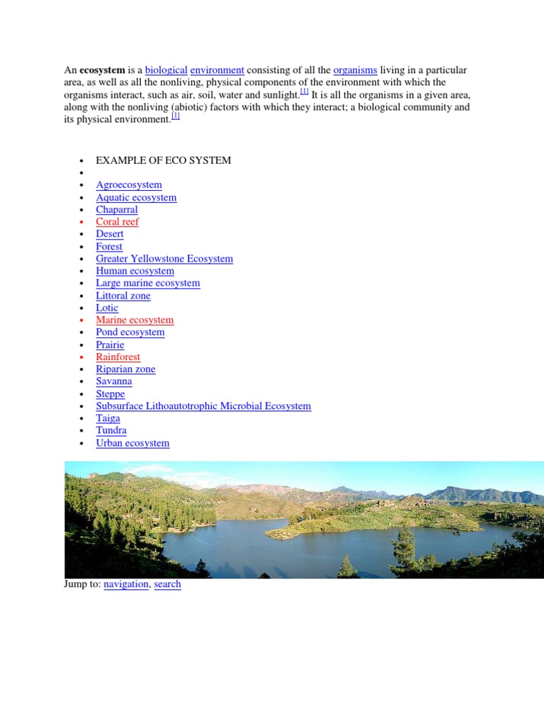 An Ecosystem Is A Biological Environment Consisting of All The ...