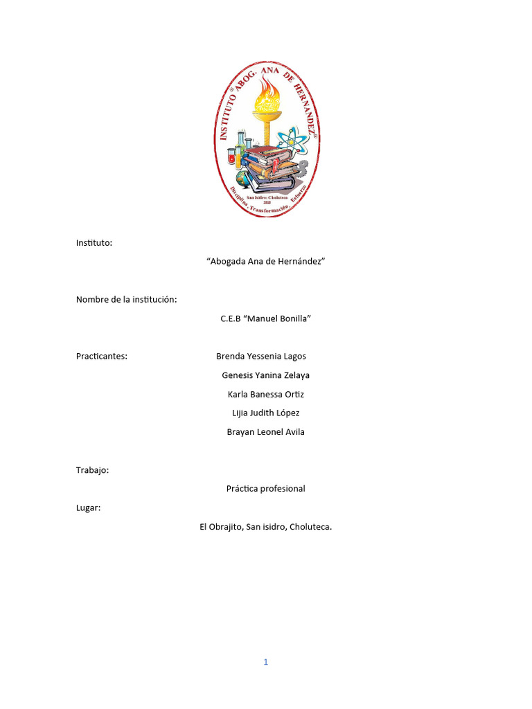 Informe De Practica Profesional Pdf