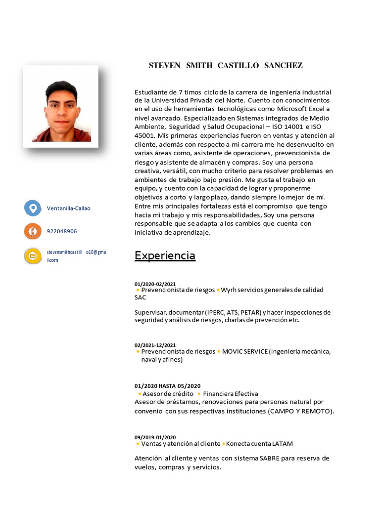 CVSteven Castilloppp | PDF | Informática
