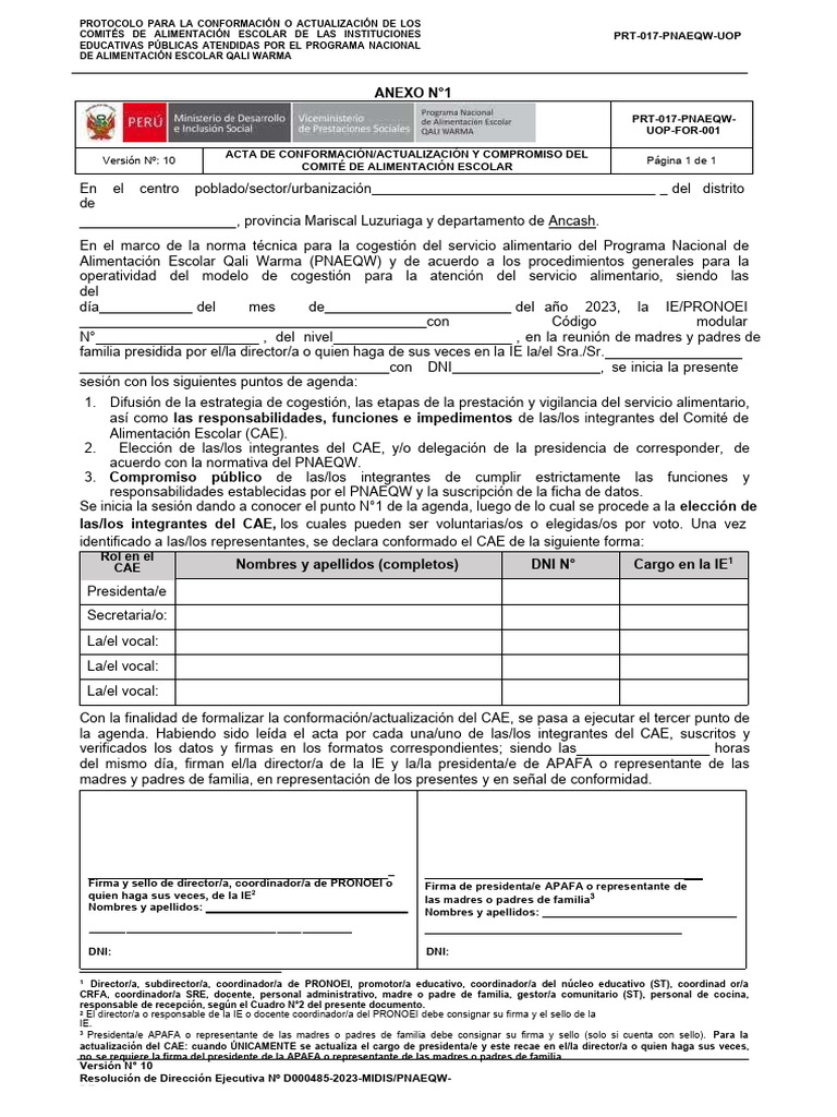 Formatos CAE 2024 - ANEXOS 1 Y 2 | PDF