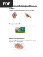 Ramas de La Biologia | PDF | Biología | Naturaleza