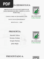 Definicion Vegetación Riparia | PDF | Zona ribereña | Inundar