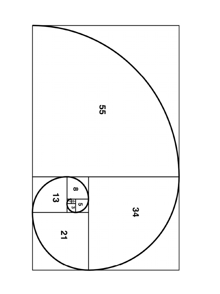 Proporcion Aurea | PDF