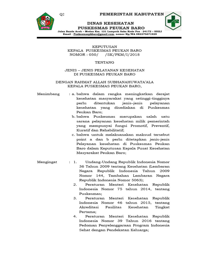 SK Jenis Pelayanan Yang Disediakan | PDF
