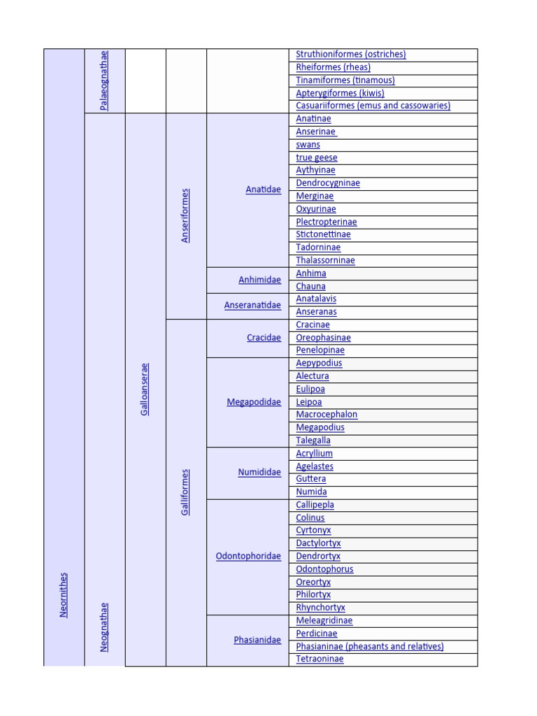 Birds Classification | Download Free PDF | Birds | Ornithology