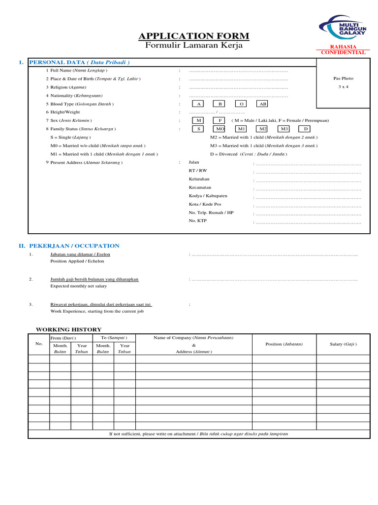 Application Form - MBG | PDF
