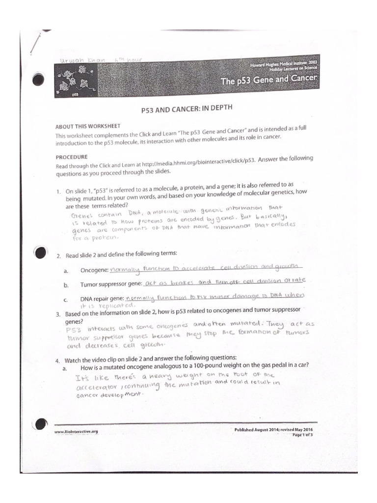 Scanned Documents 1 | PDF