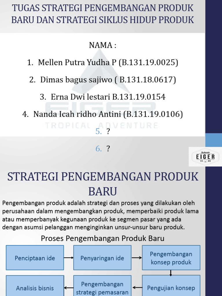 Strategi Pengembangan Produk Baru Dan Strategi Siklus Hidup | PDF