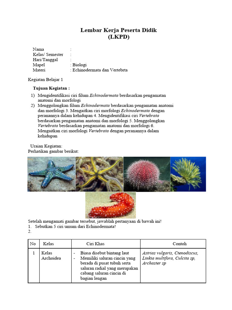 LKPD Biologi Echinodermata Dan Vertebrata | PDF