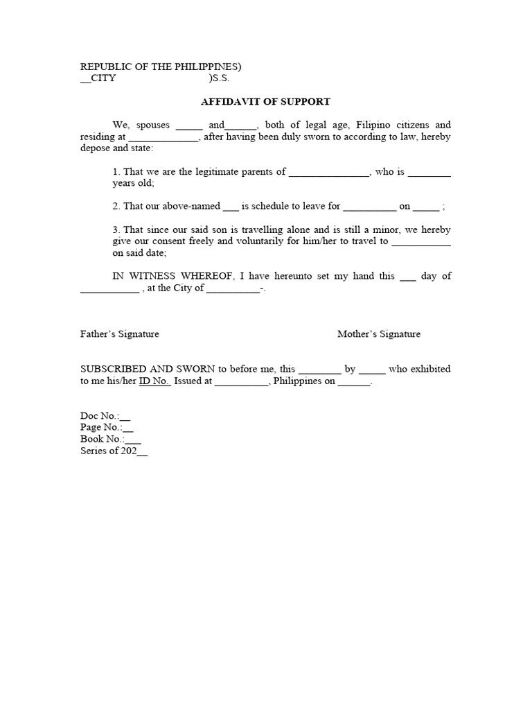 Affidavit of Support | PDF