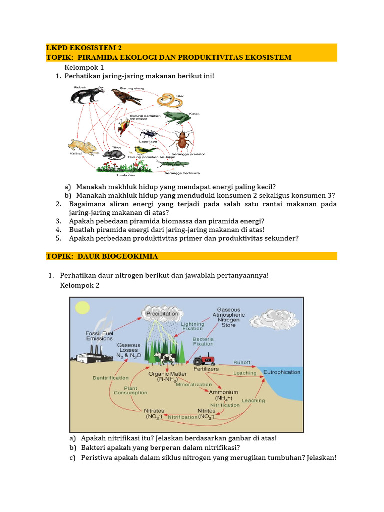 Lkpd Ekosistem 2 Pdf