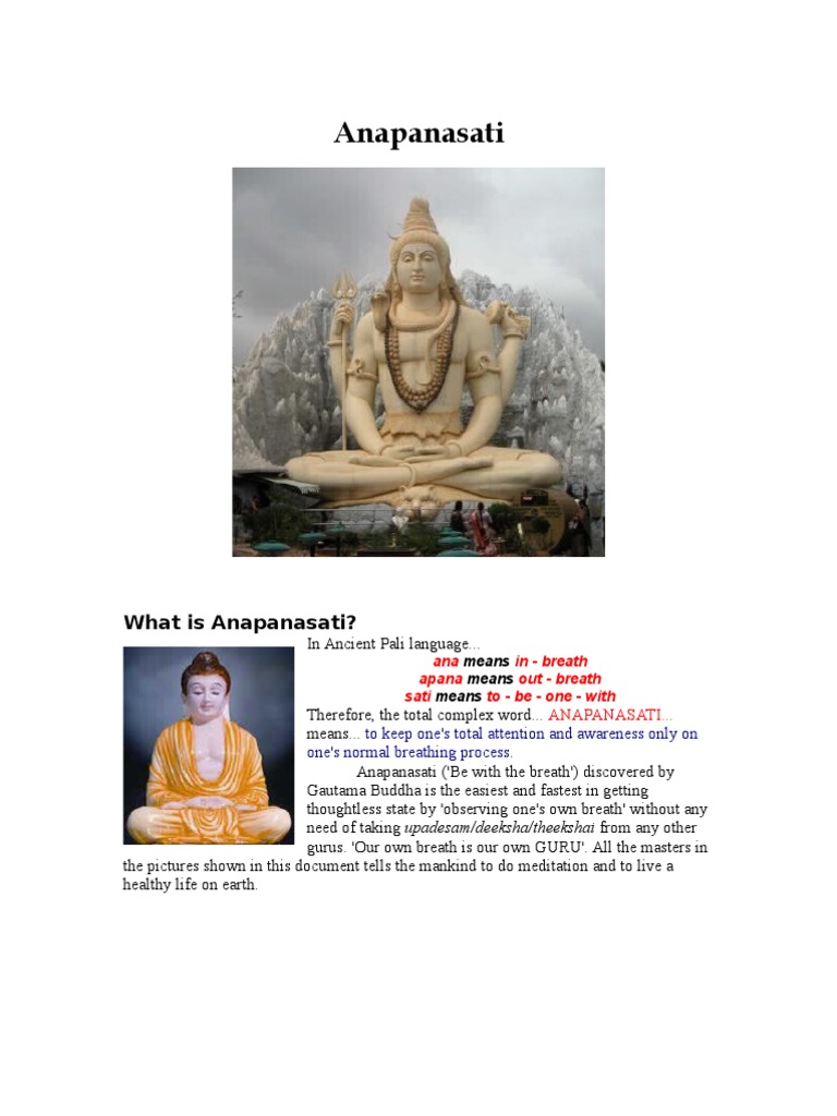04 Anapanasati Meditation | PDF | Meditation | Breathing