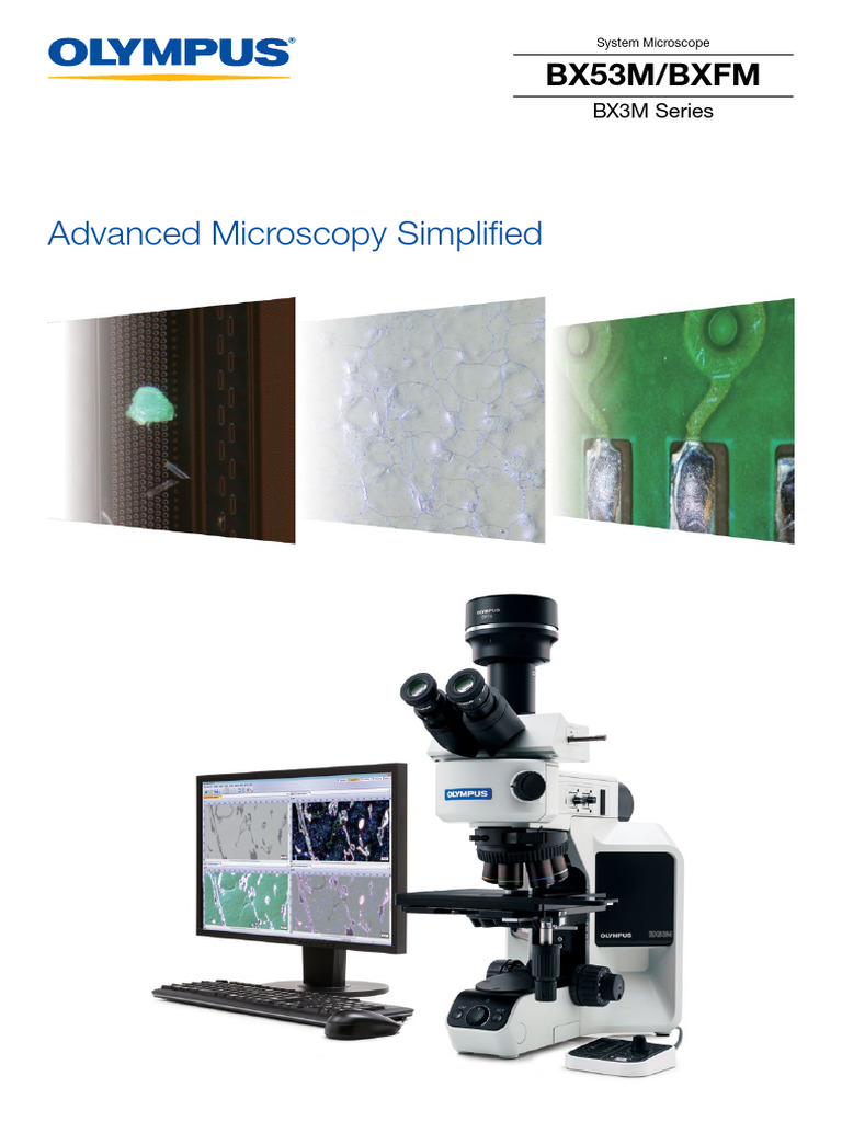 BX53M | PDF | Microscopy | Microscope