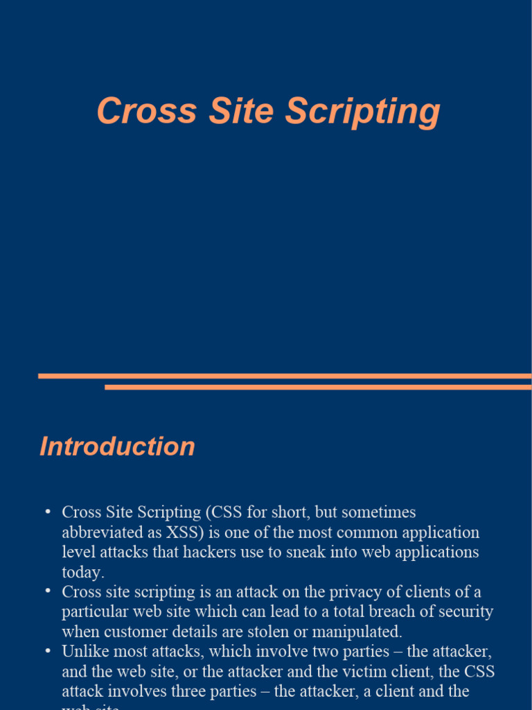 CSS (Cross Sitescripting) | PDF | Http Cookie | World Wide Web