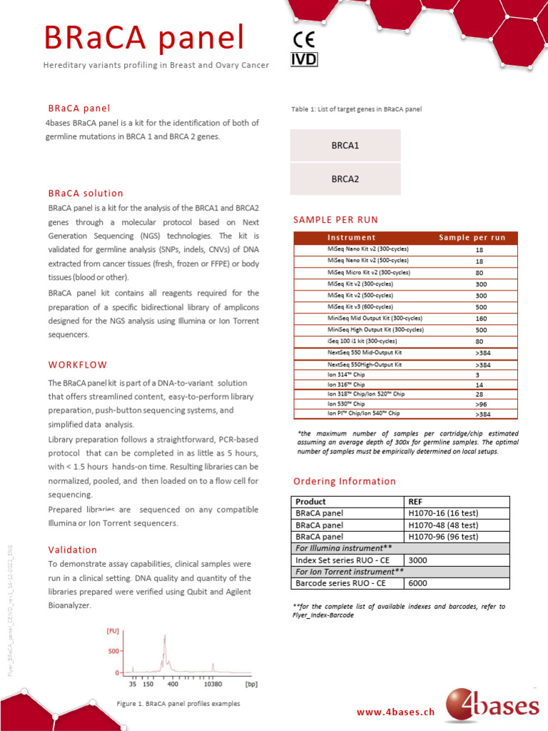 Flyer BRaCA Panel CEIVD Rev1!14!12-2022 ENG | PDF | Dna Sequencing | Genetics