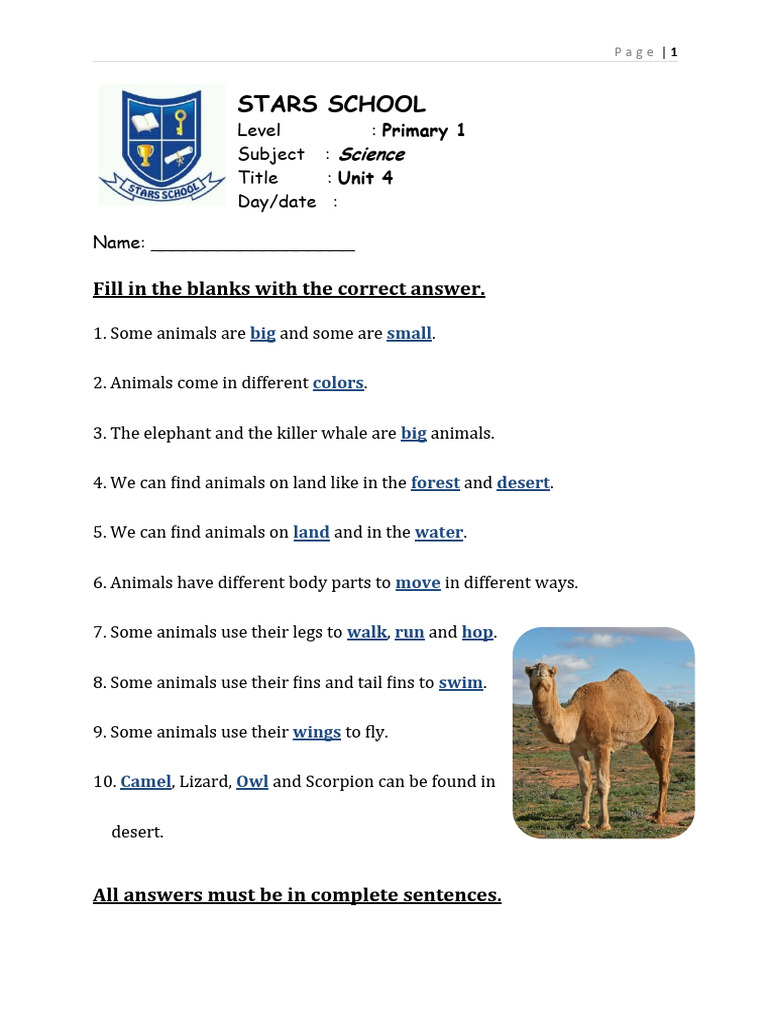 Science P1 Revision Unit 4 | PDF | Fin