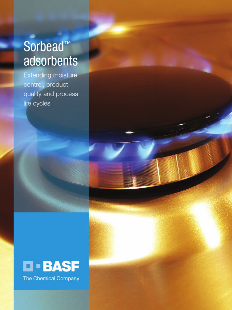 Sorbead 1 | PDF | Adsorption | Physical Sciences