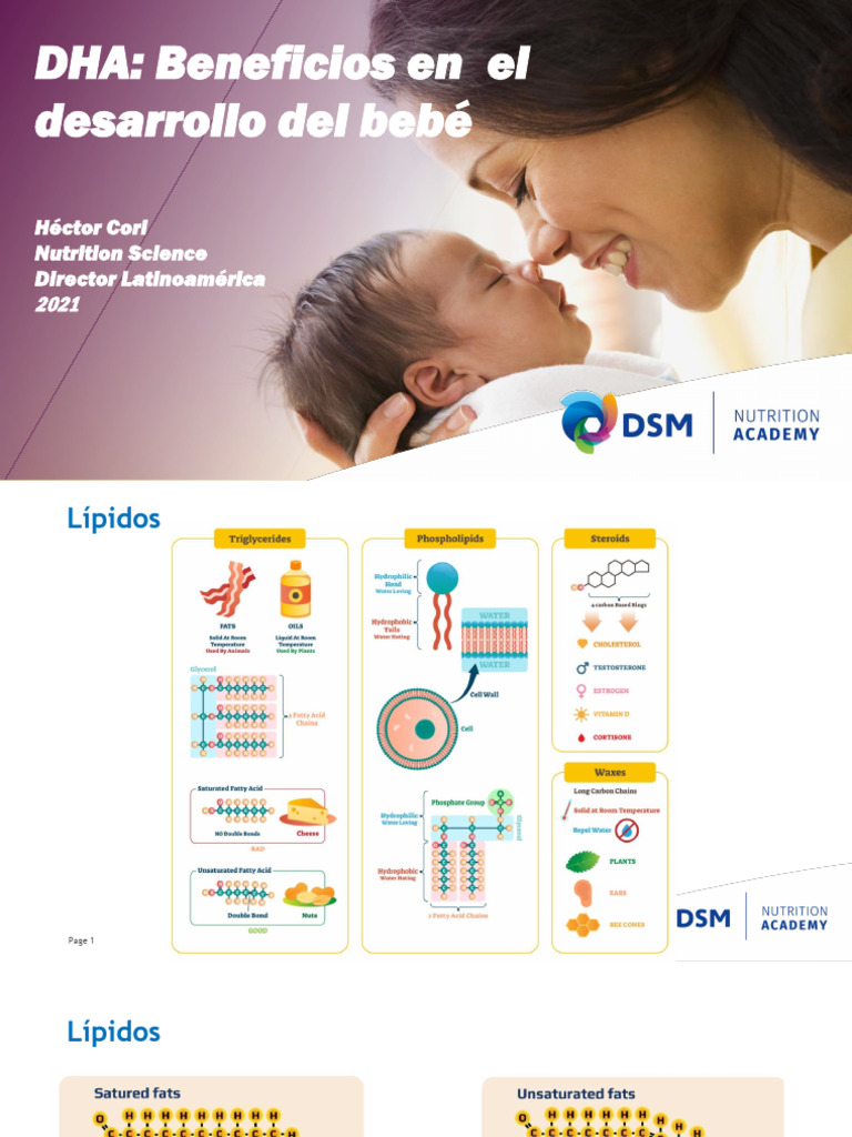 DHA - Beneficios A Lo Largo de La Vida DSM-1 | PDF | Lípido | Ácido Graso Omega 3