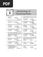 Worksheet - Parts of A Plant - Answer Key | PDF | Leaf | Plants