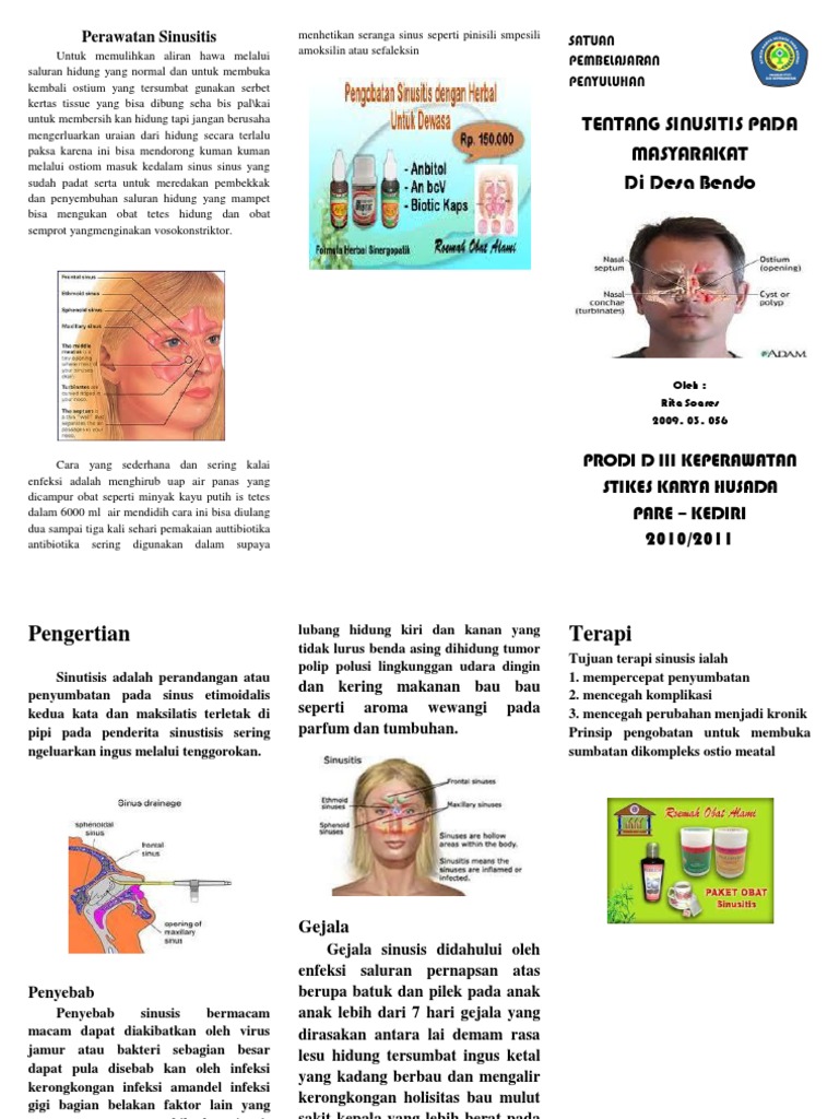 Leaflet Sinusitis | PDF