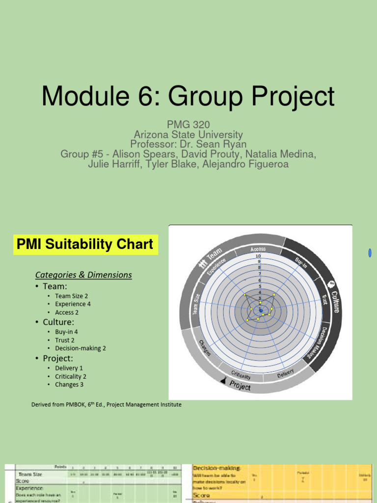 Pmi Suitability Chart - Final Copy 1 | PDF