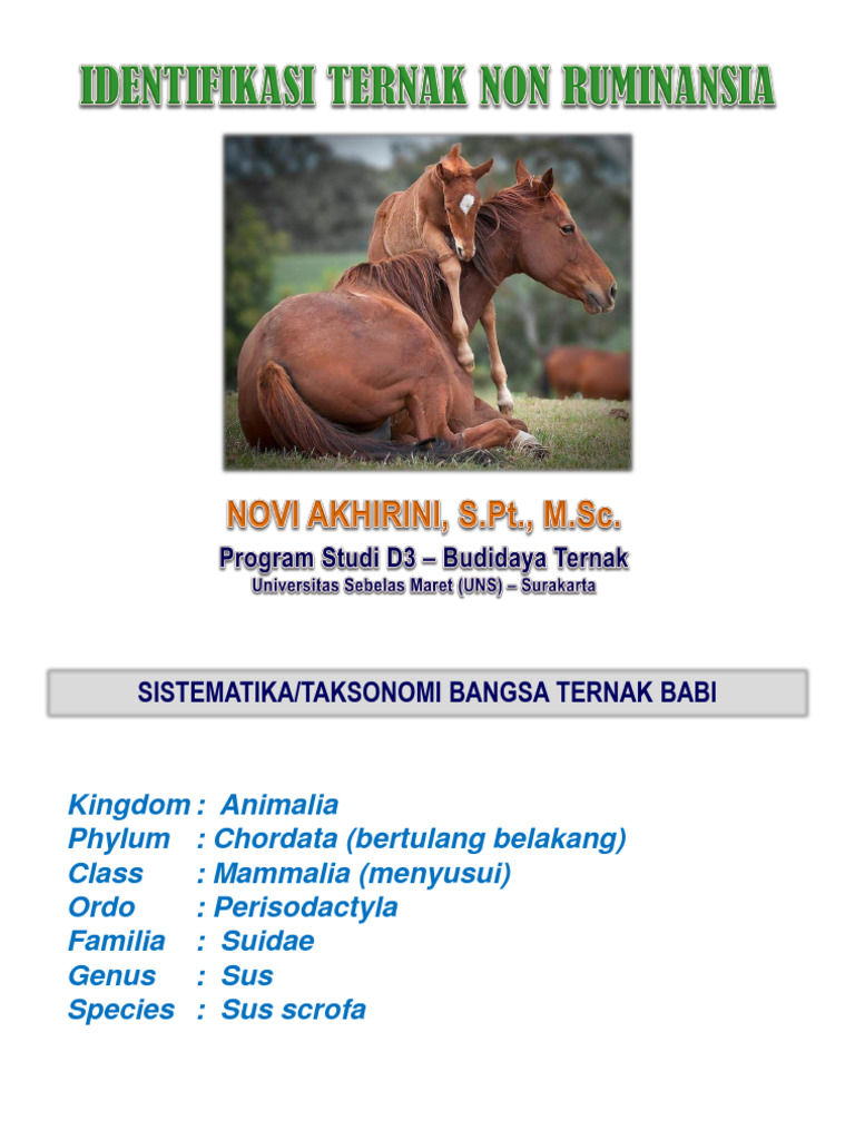 Identifikasi Jenis Ternak Non Ruminansia | PDF