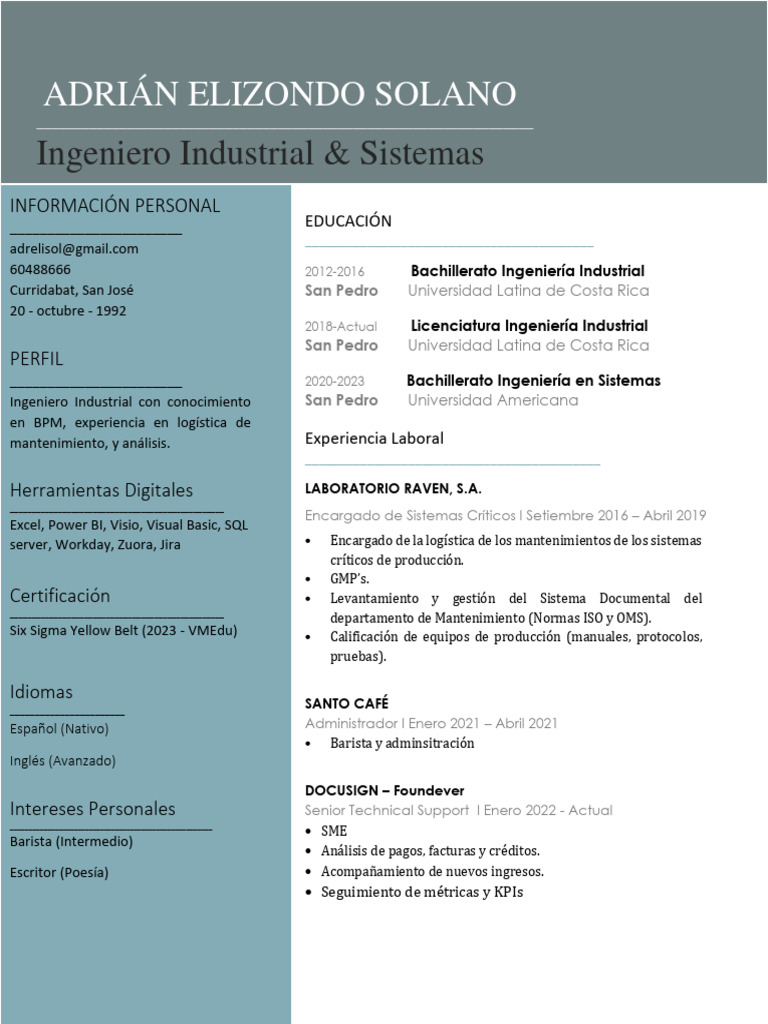 Curriculum Vitae - Adrián Elizondo Solano | PDF | Ingeniería de Sistemas | Business