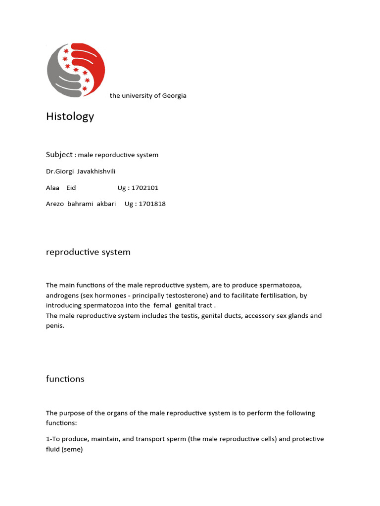 Histology | PDF | Testicle | Reproductive System