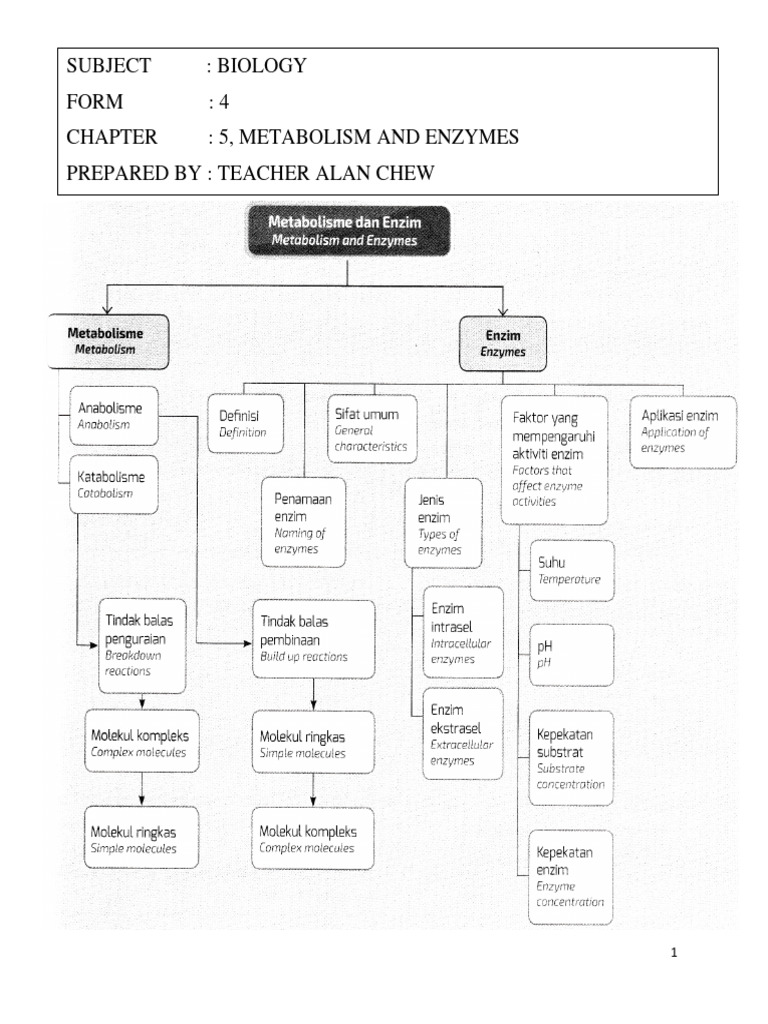 Form 4 Biology Chapter 5 | PDF | Enzyme | Metabolism