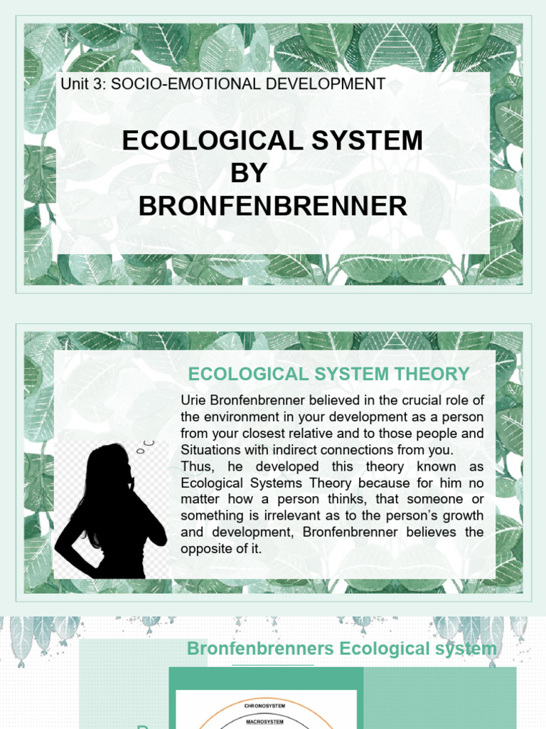 Ecological Systems Theory | PDF | Society | Family