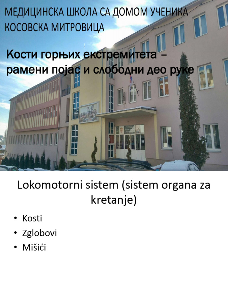 Kostani Sistem 1 | PDF
