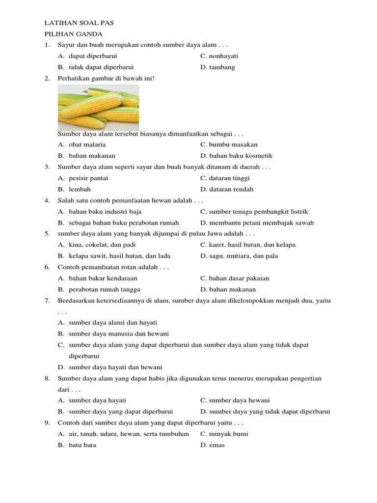 Latihan Soal PAS | PDF