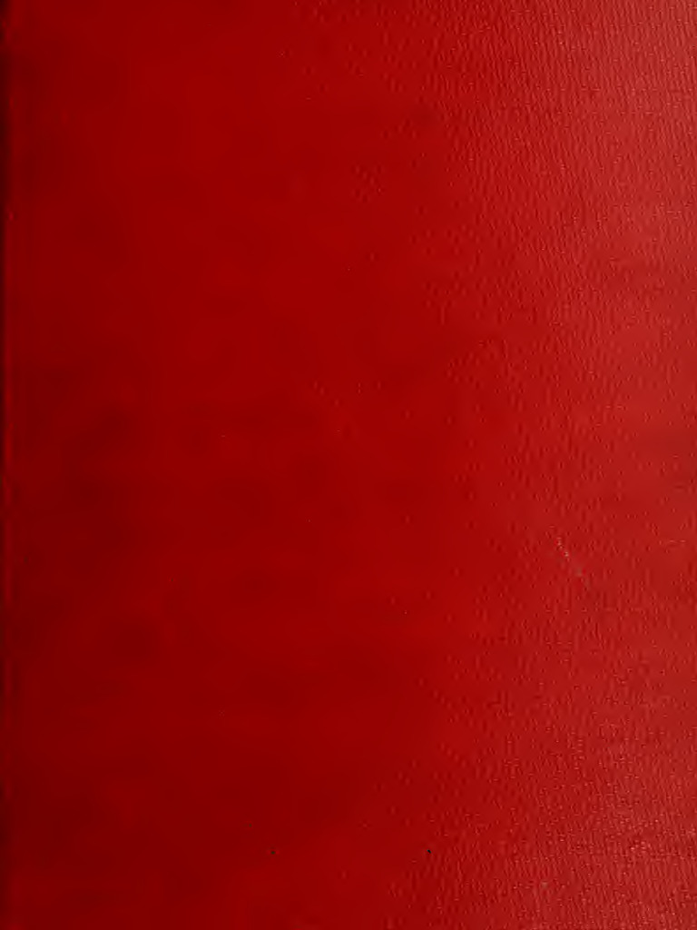 Morritos: Entrevistas y Revelaciones | PDF
