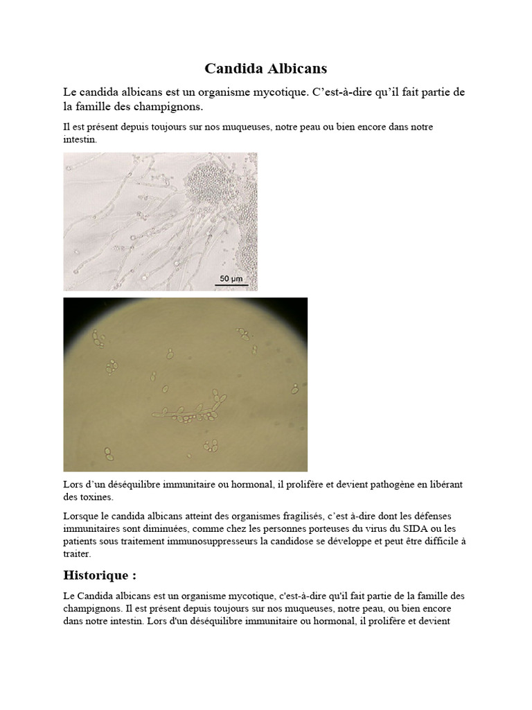 Candidose : Causes et Traitements | PDF | Candida | Candidose
