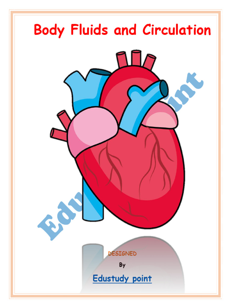 Body Fluids and Circulation Notes | PDF | Heart | Atrium (Heart)