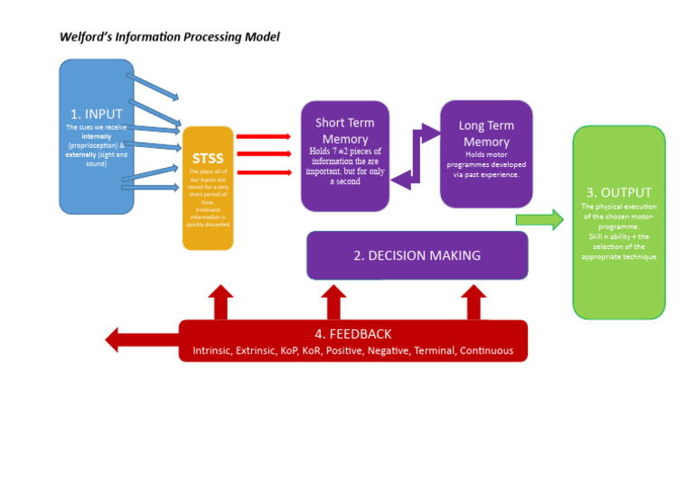 Welford's Information Processing Model | PDF