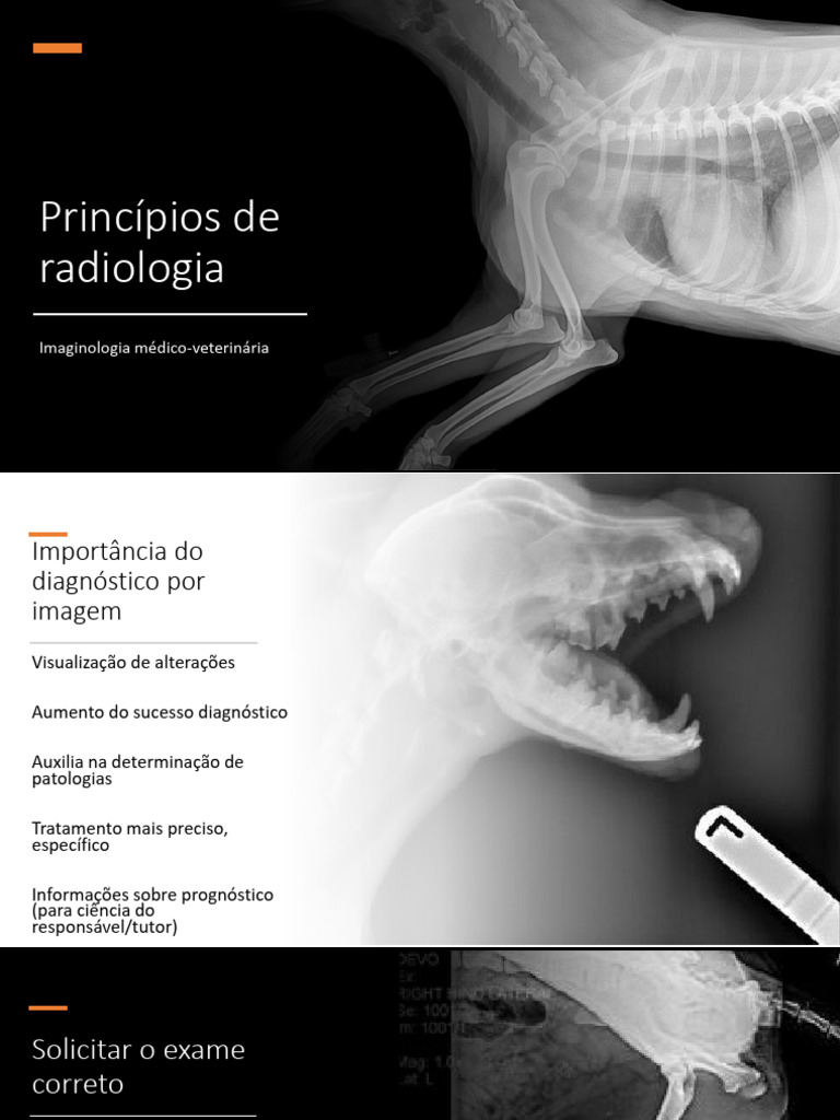 Princípios de Radiologia | Download grátis PDF | Radiologia | Raio X