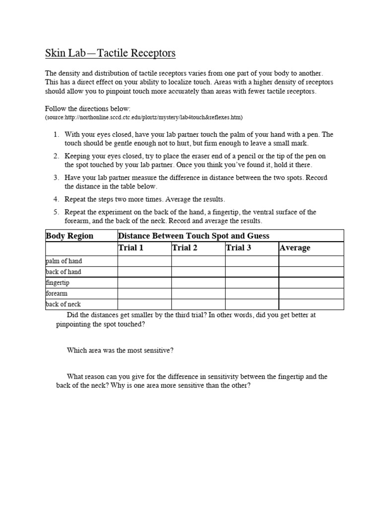 5.4 Skin Lab-Tactile Receptors | PDF