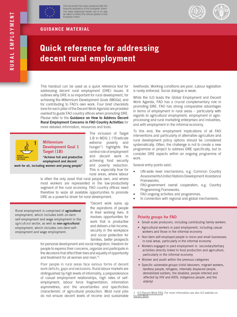 Decent Job | PDF | Employment | Food And Agriculture Organization