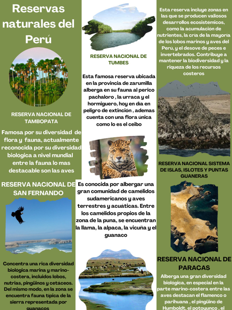 RESERVAS NATURALES DEL PERÚ | PDF | Ecología | Entorno natural
