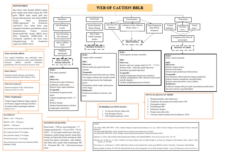 Perawatan Bayi BBLR | PDF