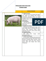 Jenis-Jenis Sapi di Indonesia | PDF