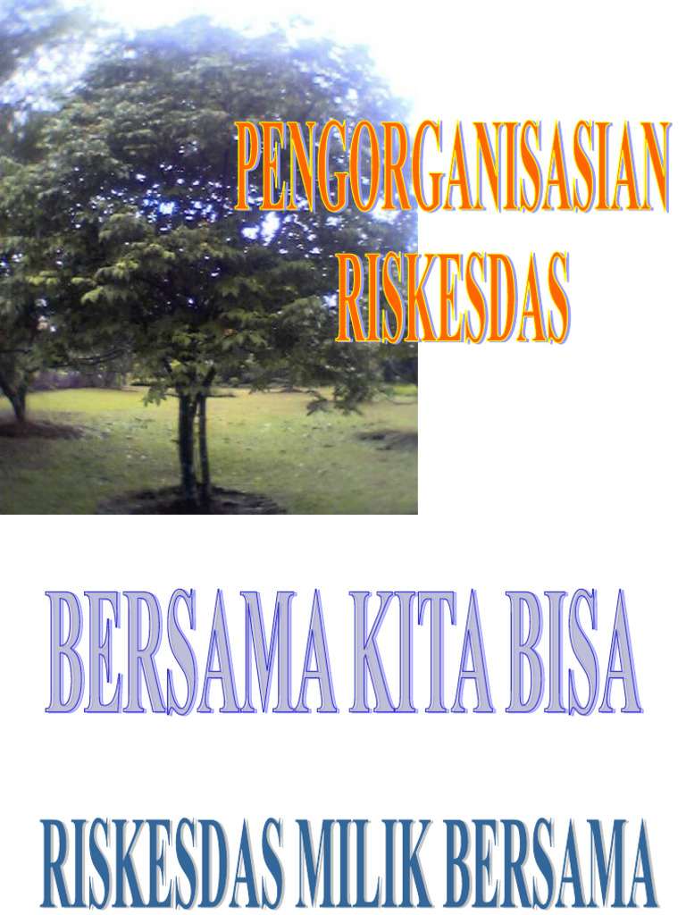 Organisasi Riskesdas Kalsel | PDF | Sains & Matematika