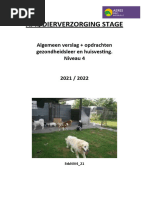 Voorbeeld Stageverslag | PDF