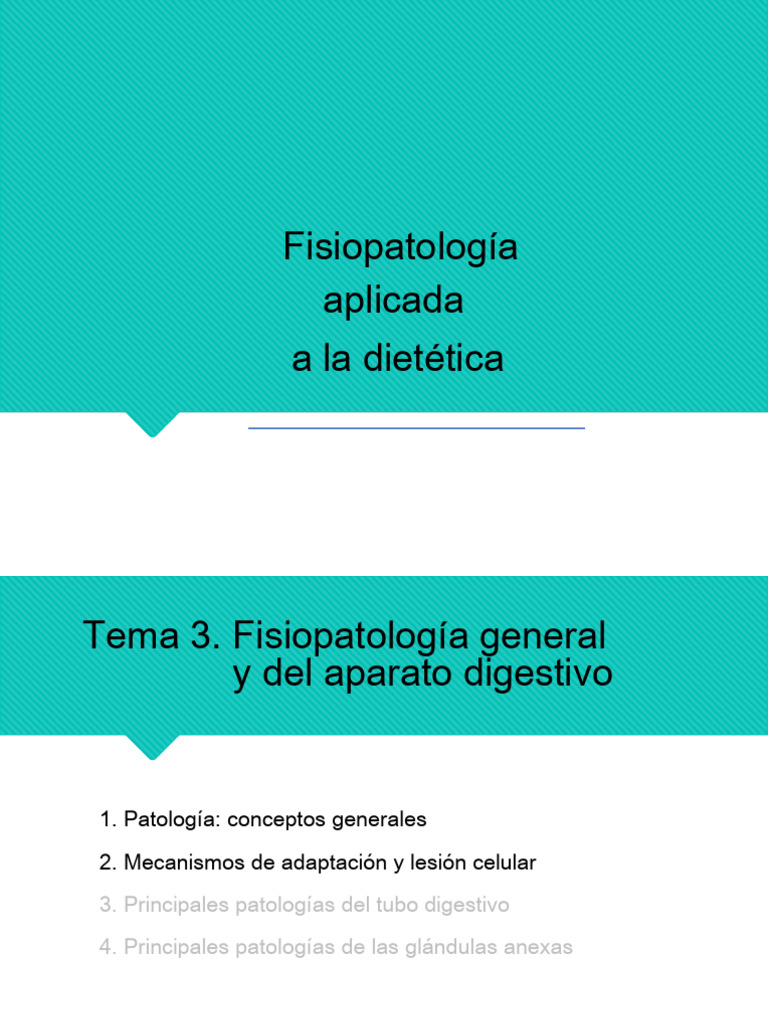 Fisio Tema 3 Parte 1 | PDF Fisio Tema 3 Parte 1 | PDF