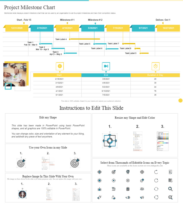 Project Management Professional Toolset IT Project Milestone Chart ...