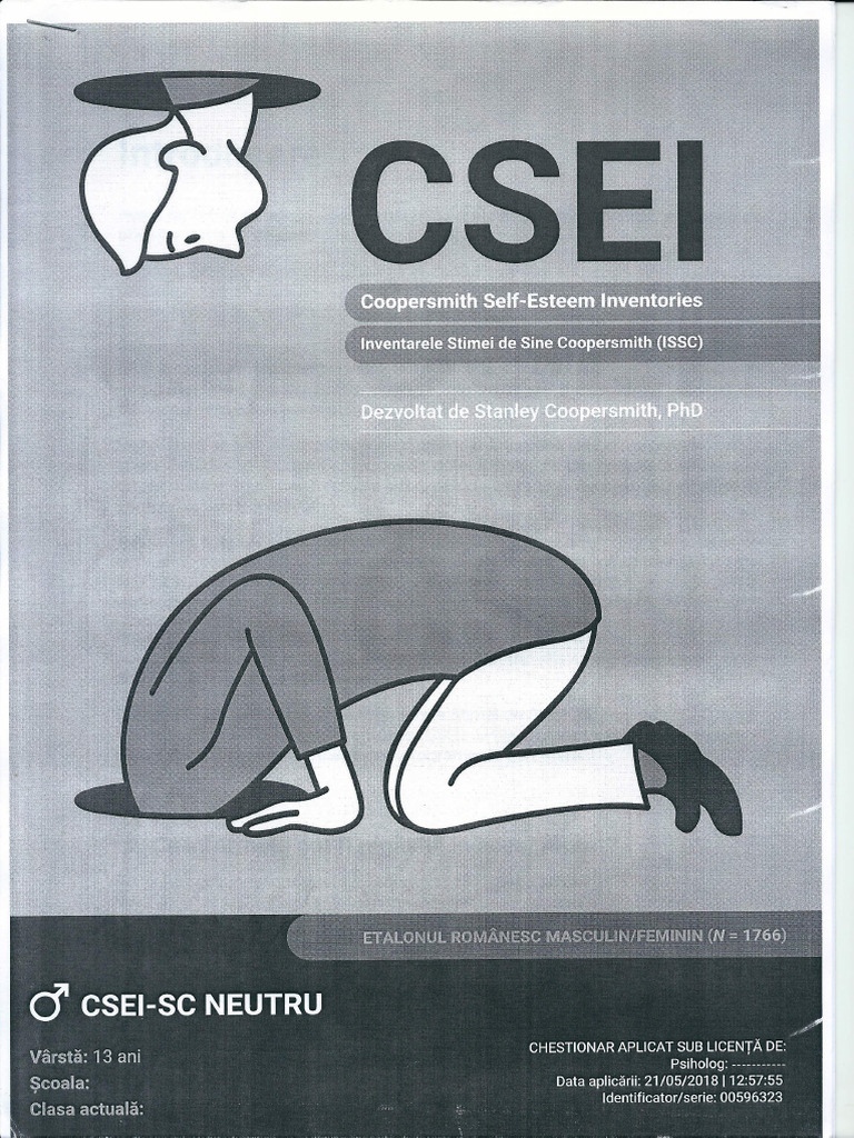CSEI | PDF